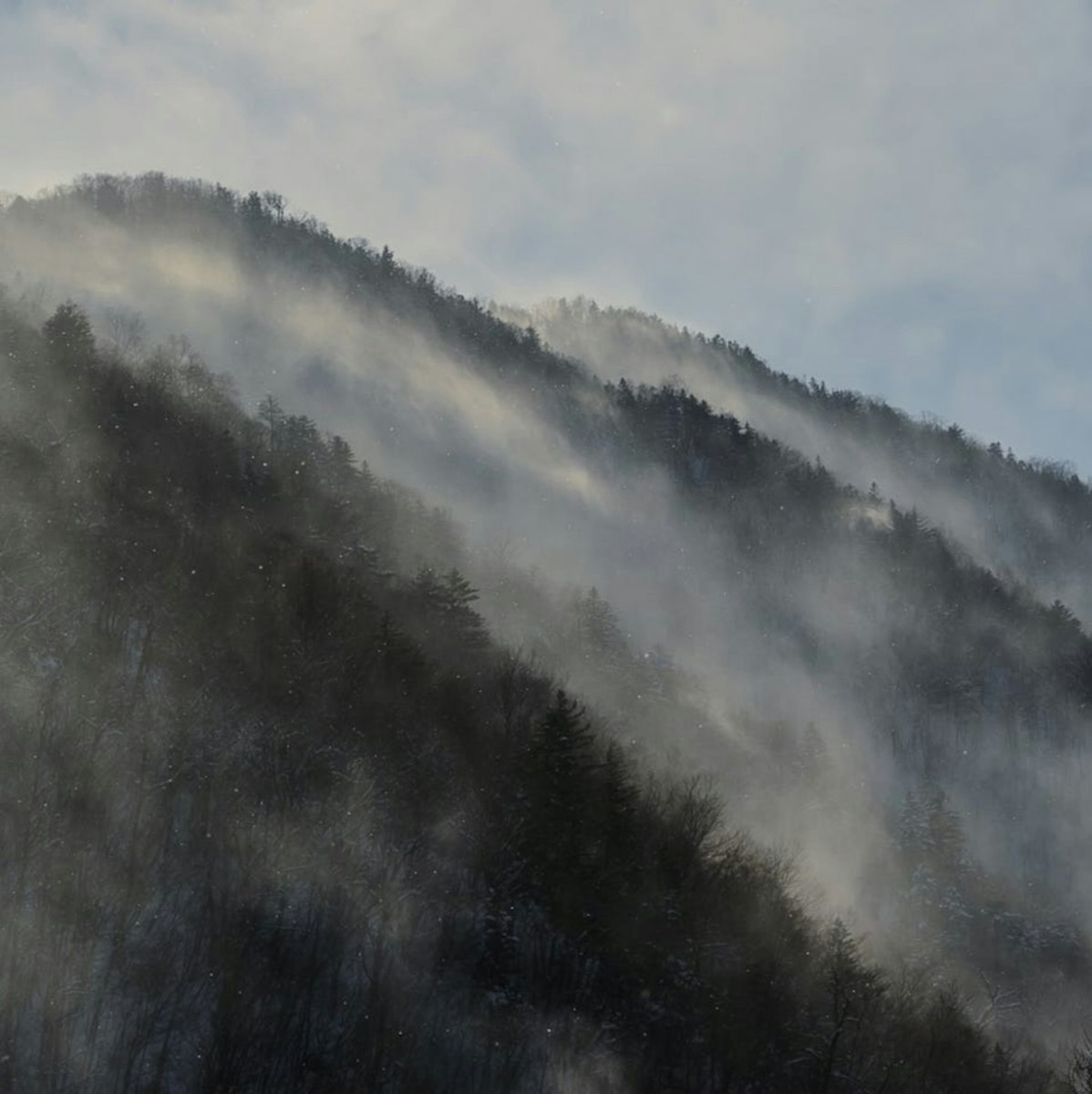 cizucu leading creators | cizucu | cizucu