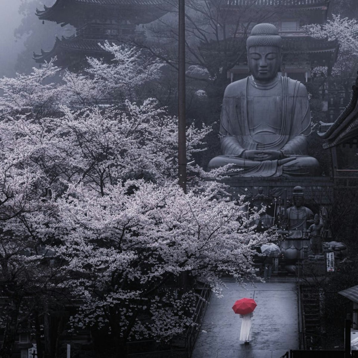 cizucu Meetup | cizucu | cizucu