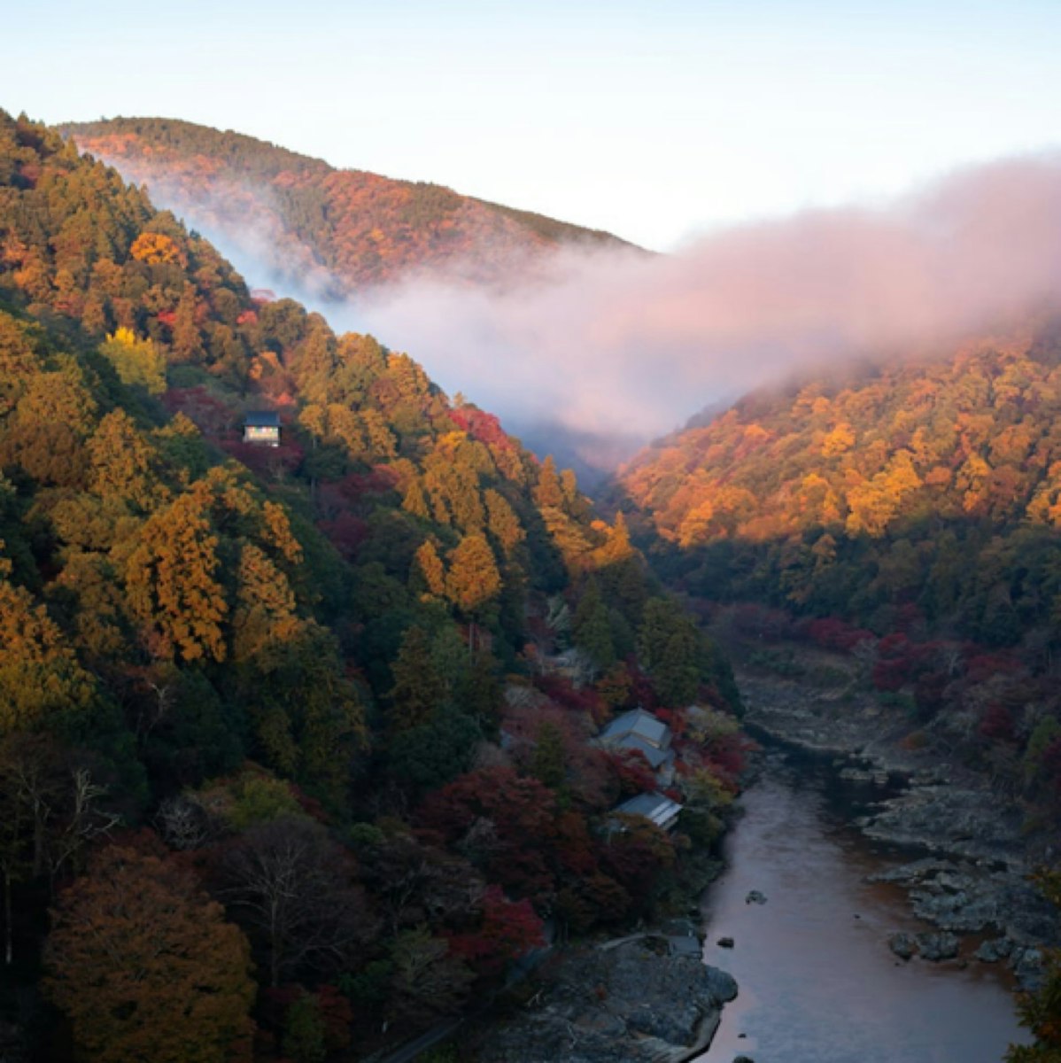 Discover Japan | cizucu | cizucu
