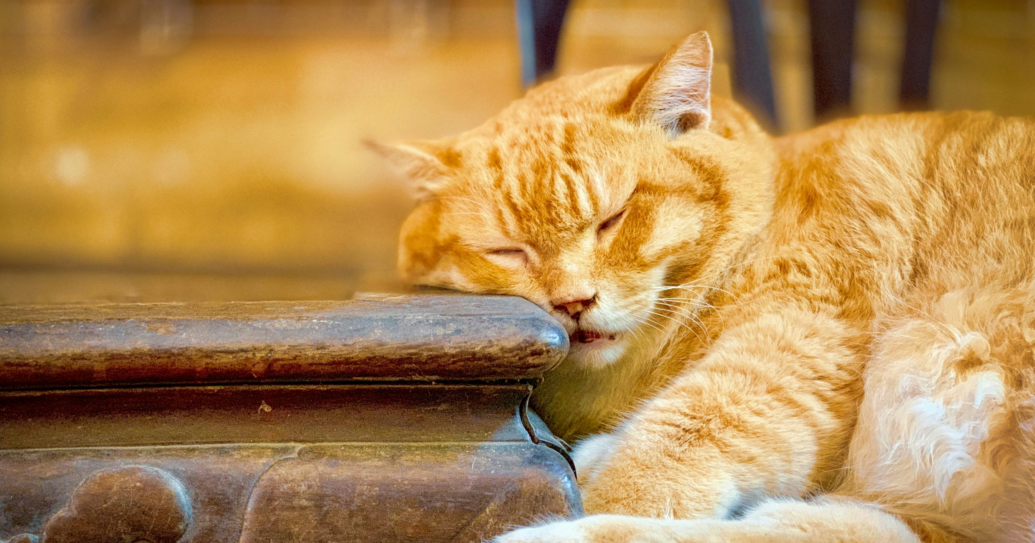 May Diary '25 | cizucu | cizucu