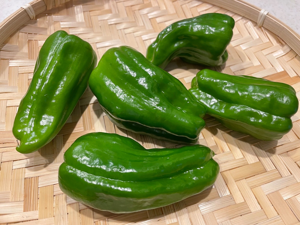 新鮮なピーマン #green | 住吉音香 | cizucu