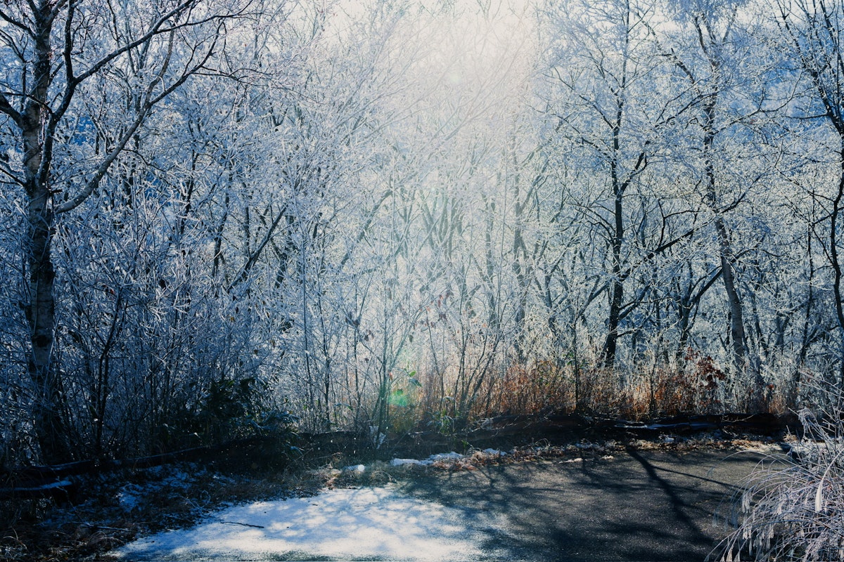 Blue Winter Scene Photos | Download Royalty-Free Images & High ...