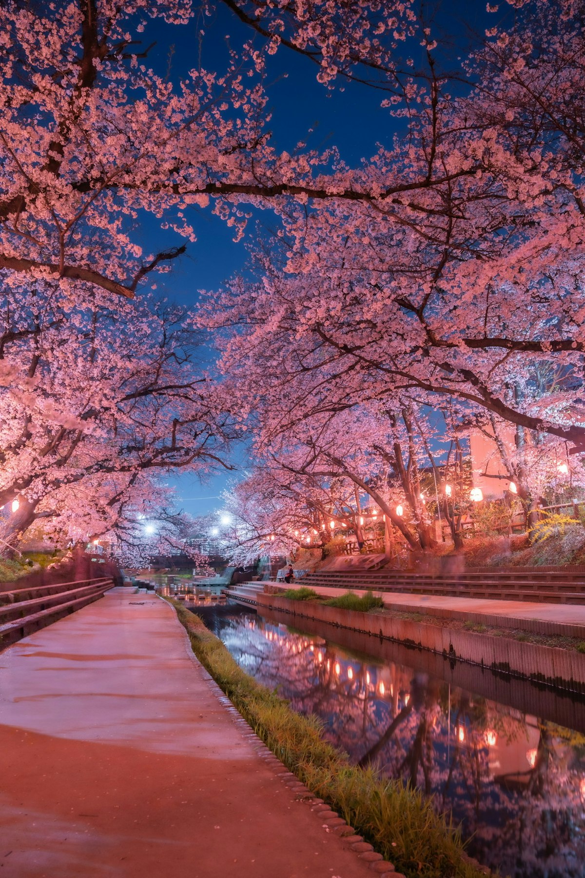 Dark Background Riverside View Photos | Download Royalty-Free Images ...