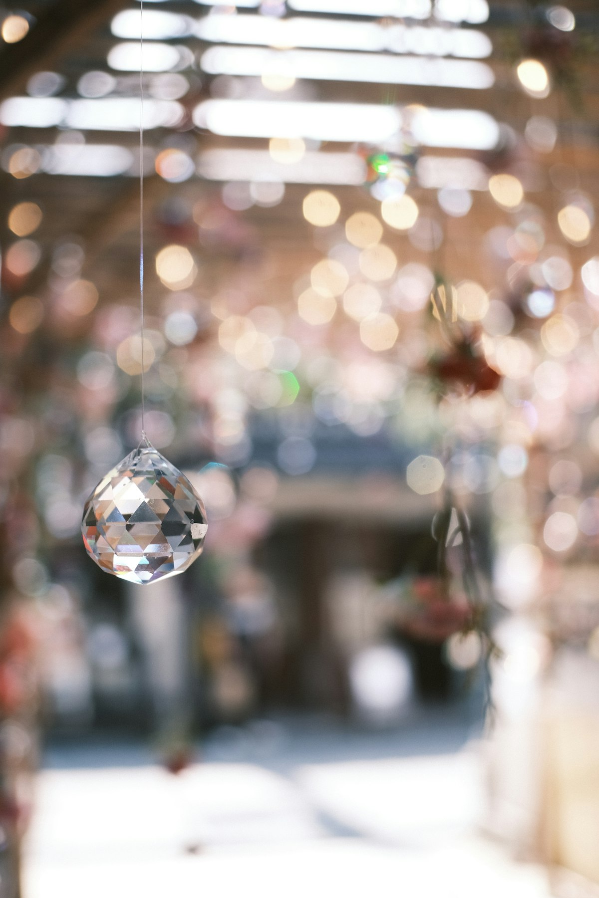 #ヒカリ #light #玉ボケ #オールドレンズ | ⋆* 粋 -sui- ⋆* | cizucu