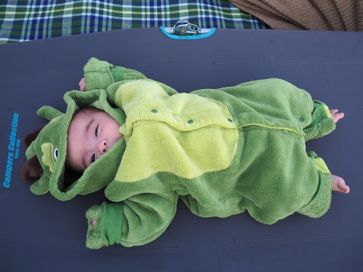 #温もり #竜 | uzura | cizucu