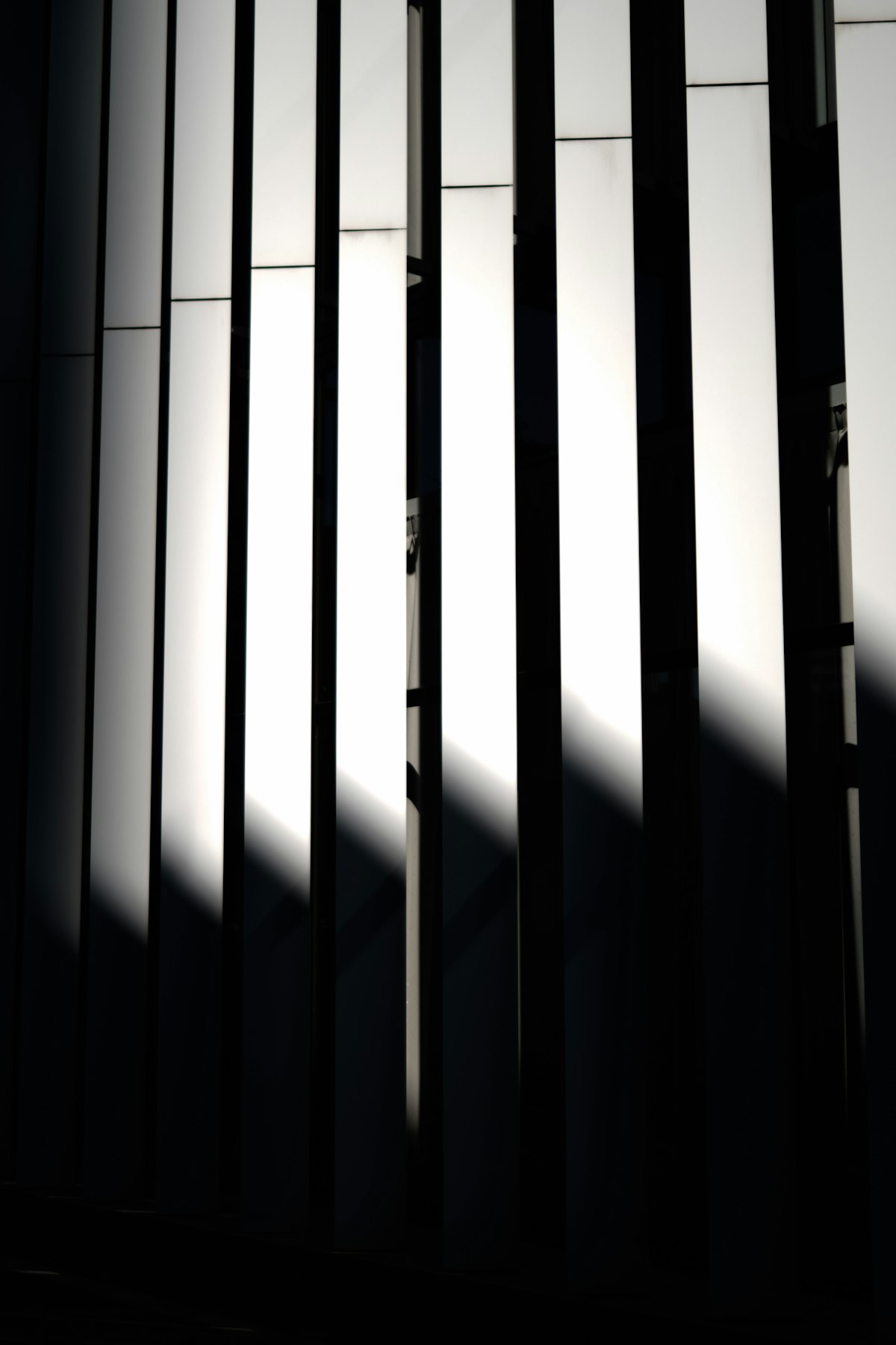 Bold Contrast Patterns Photos | Download Royalty-Free Images & High ...