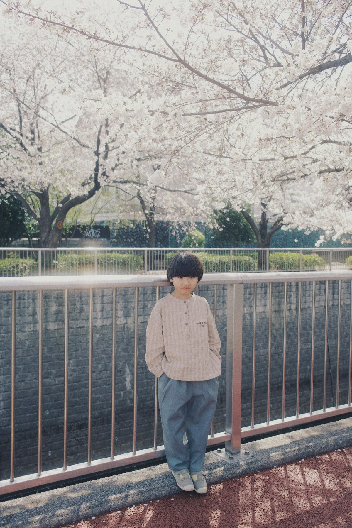 Jenis Bunga Di Taman Kuil Photos | Download Royalty-Free Images & High ...