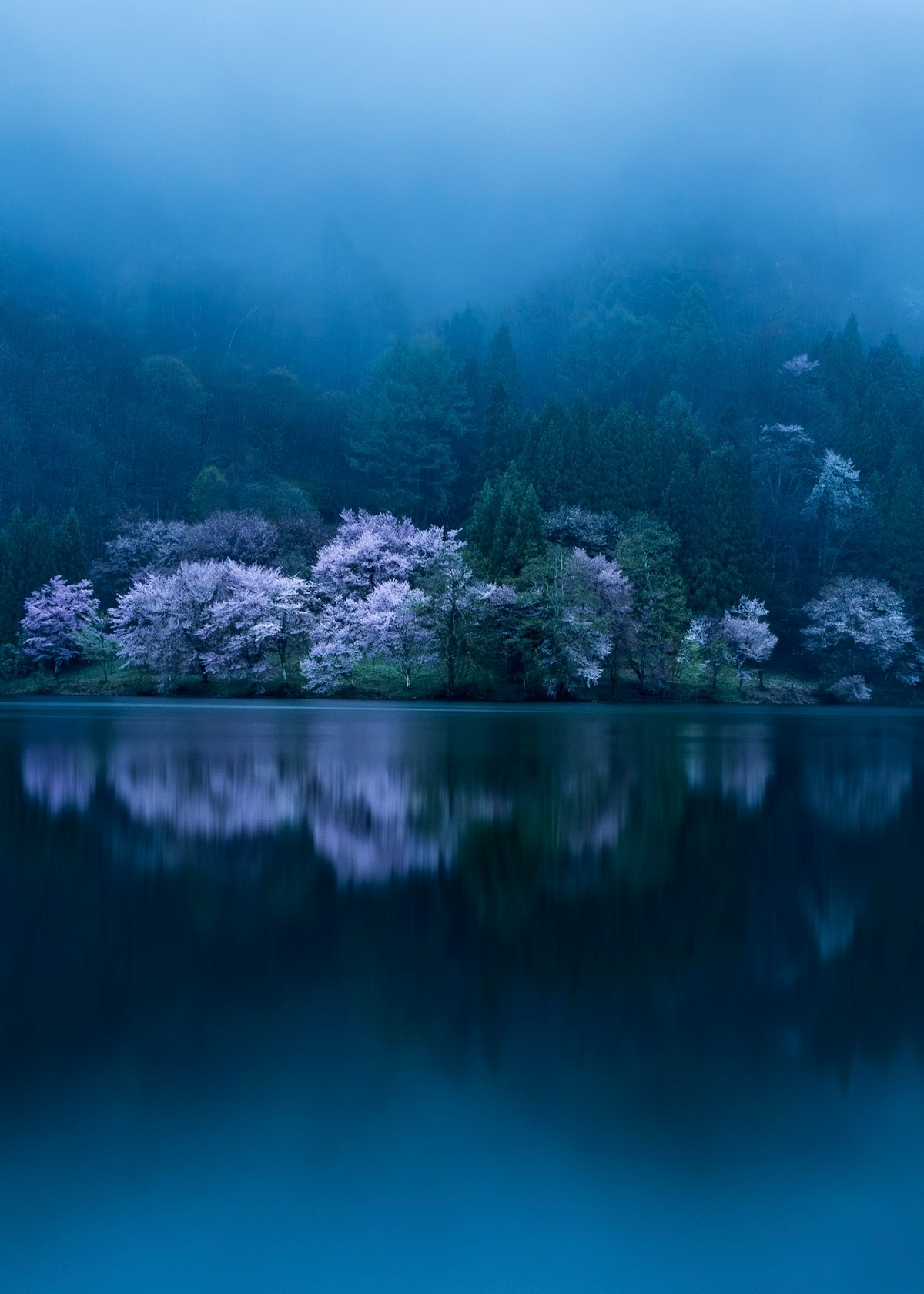 푸른색の写真 | ロイヤリティフリー & 高解像度画像を無料ダウンロード | cizucu