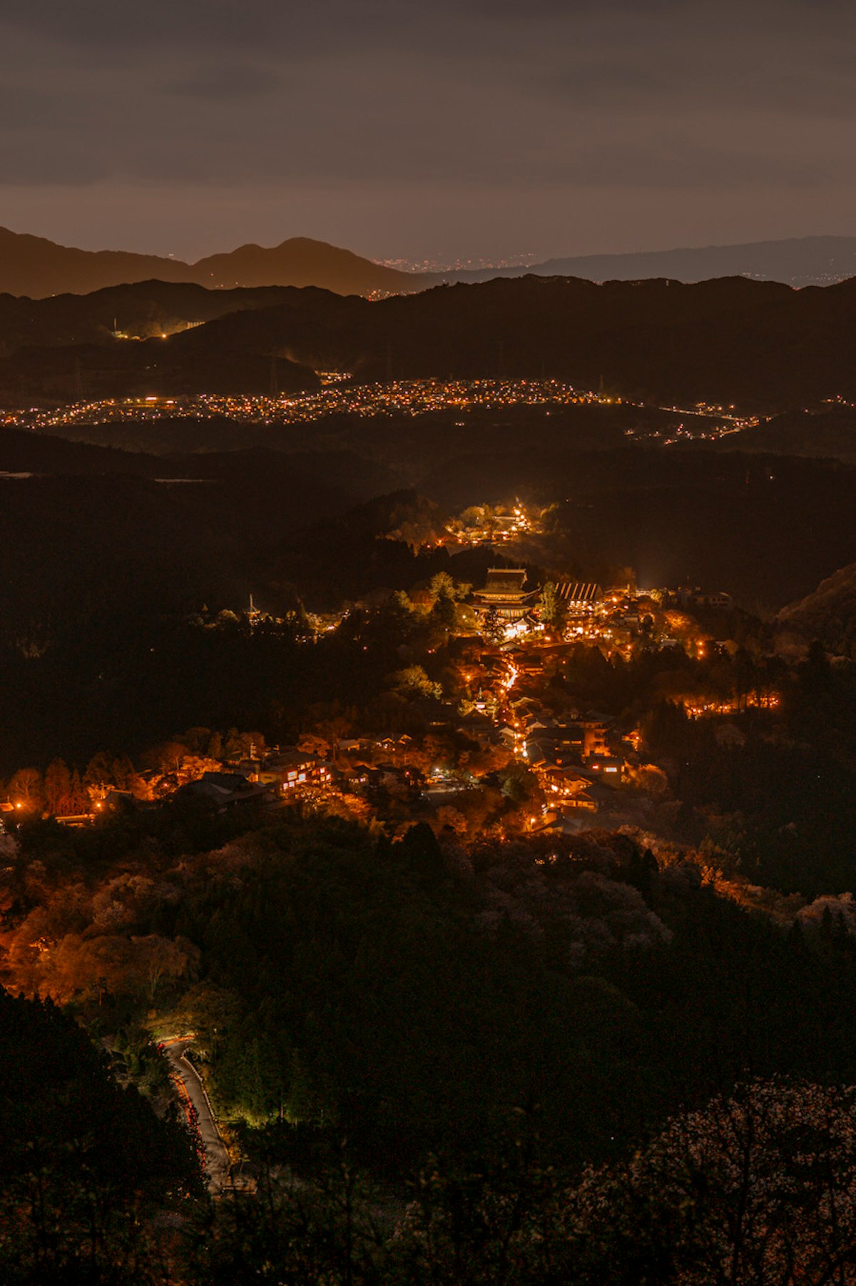 夜の吉野山から | sei ♫ | cizucu