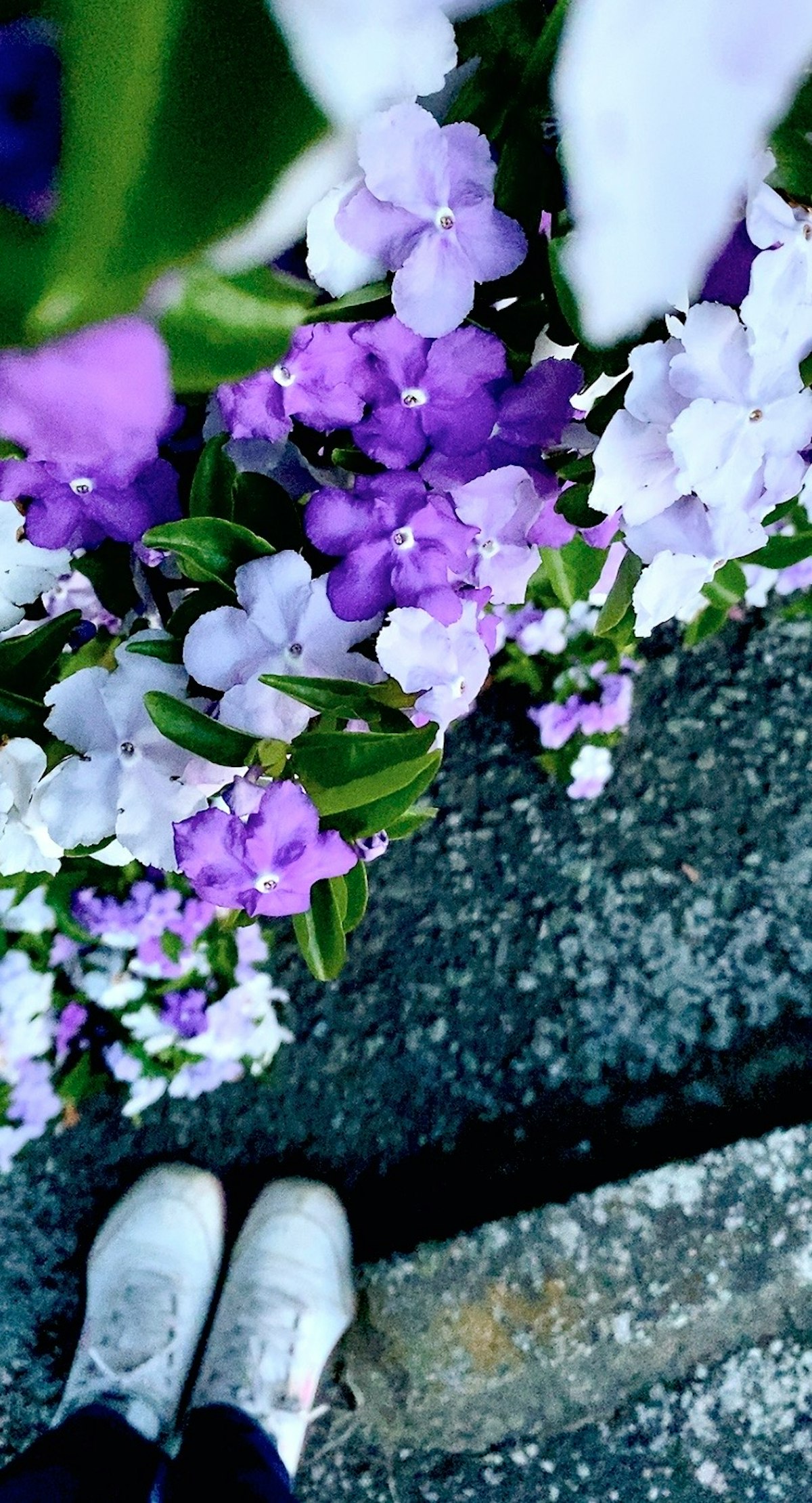 White Wall Airy Feel Photos | Download Royalty-Free Images & High ...