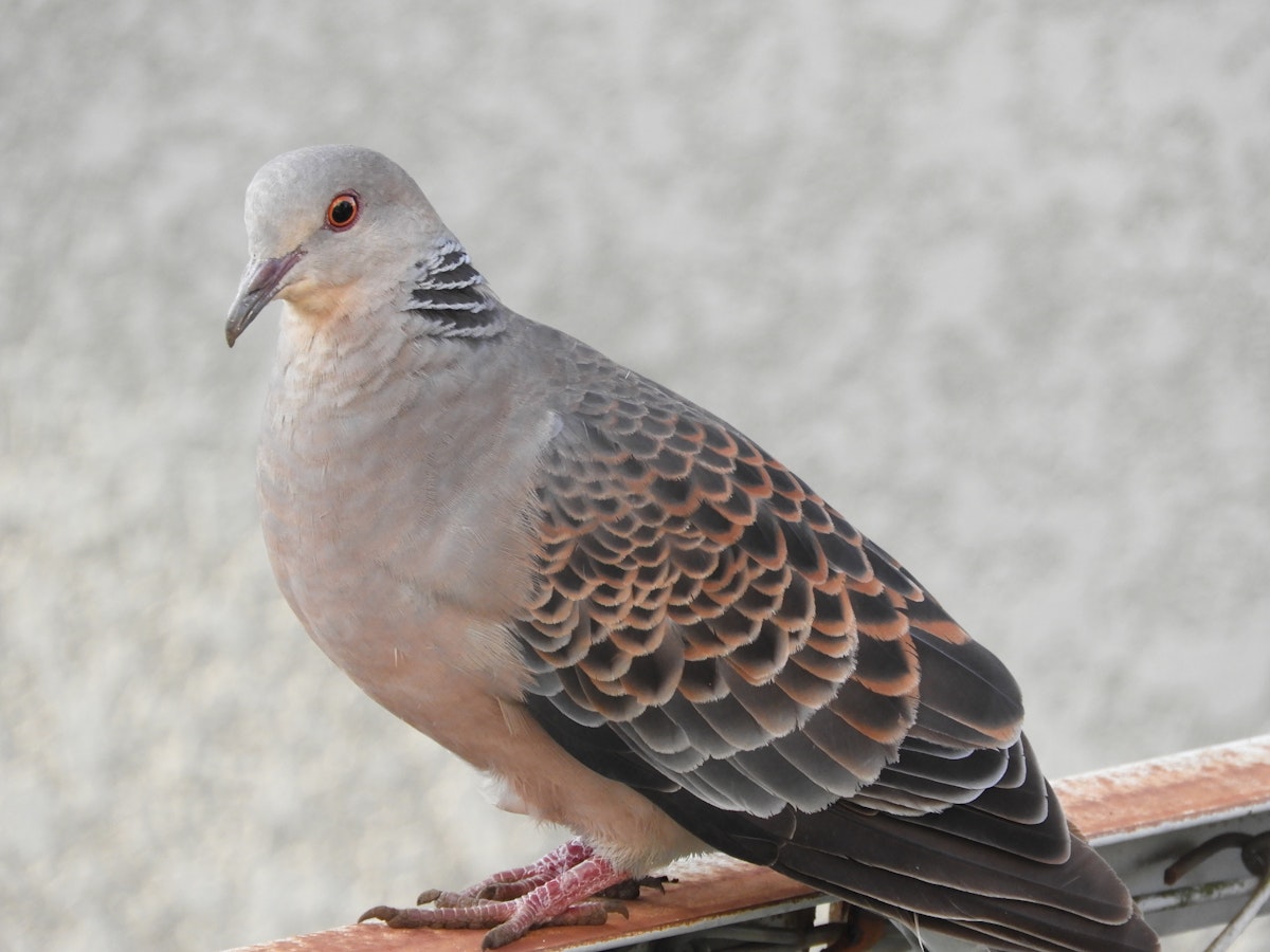 Geology Undersea Features Photos | Download Royalty-Free Images & High ...