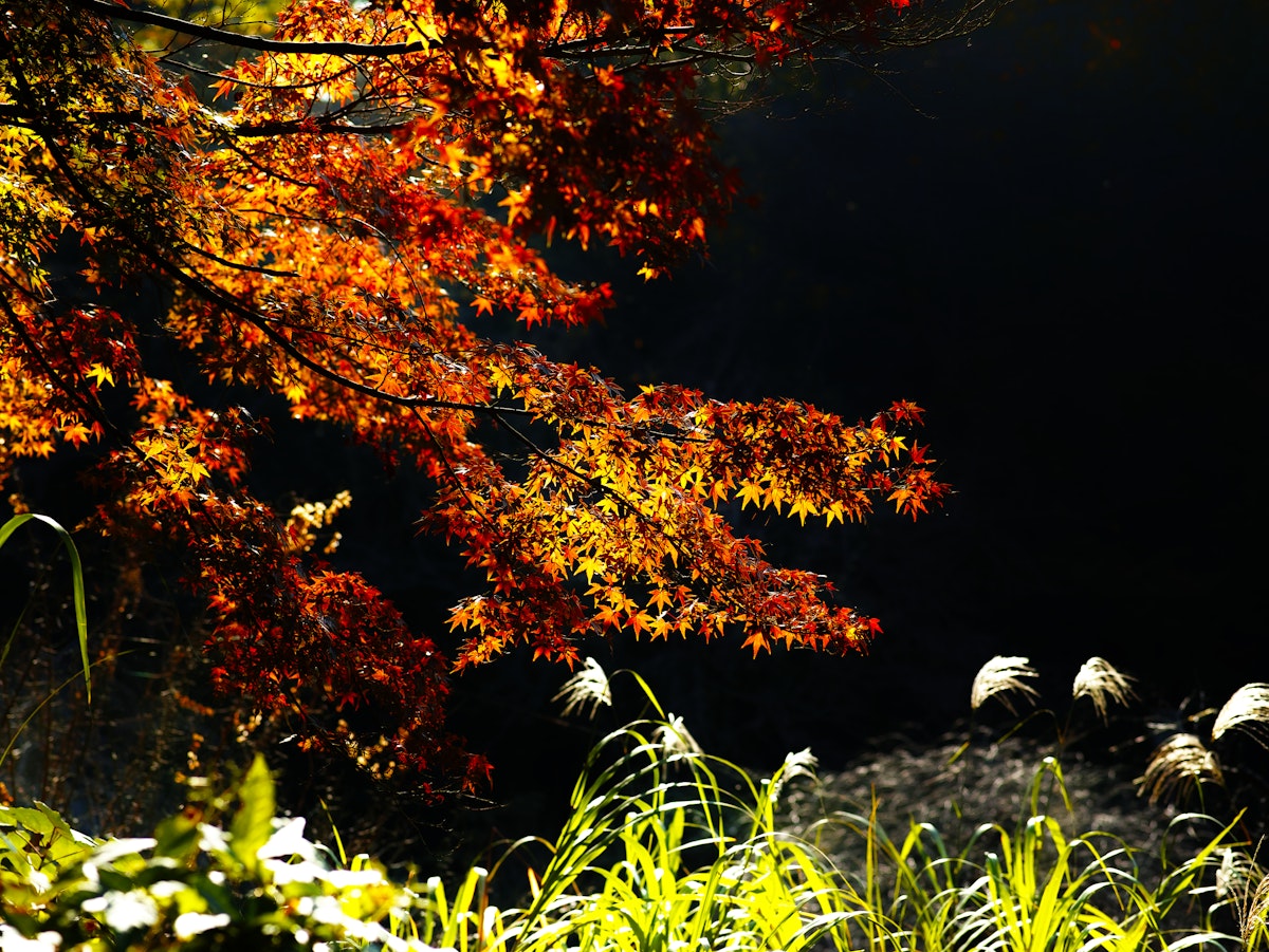 畫面 Photos | cizucu