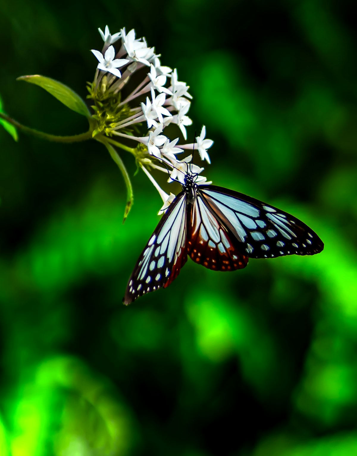 การถ่ายภาพทิวทัศน์ ทิวทัศน์สวยงามの写真 | ロイヤリティフリー & 高解像度画像を無料ダウンロード | cizucu