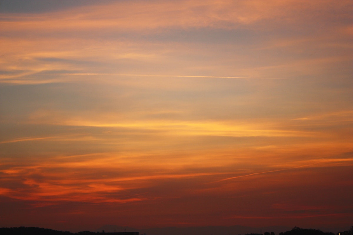 노란색 하늘の写真 | cizucu