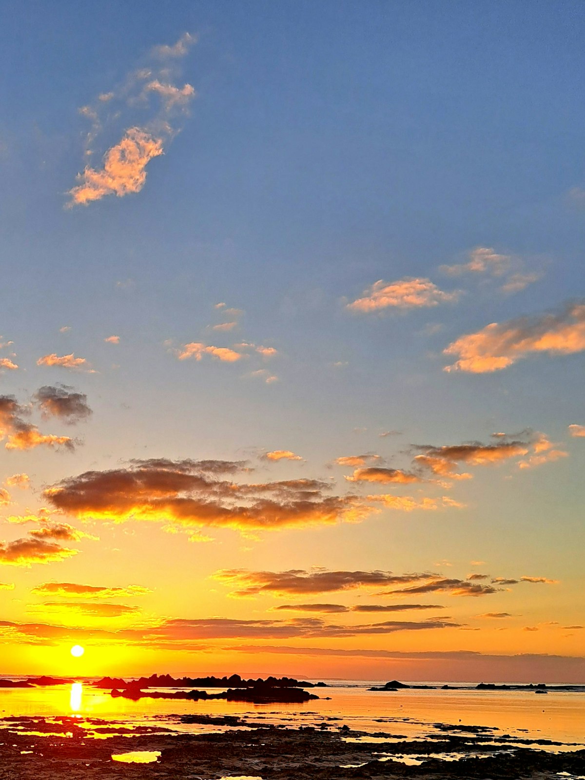 #朝日 | bikkya | cizucu