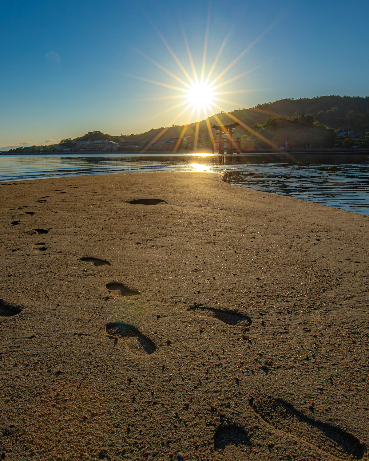 รายละเอียด แสงอาทิตย์ยามเช้าの写真 | ロイヤリティフリー & 高解像度画像を無料ダウンロード | cizucu