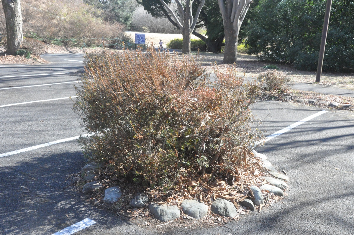 ภาพถ่าย 돌 테두리 | ดาวน์โหลดรูปภาพปลอดค่าลิขสิทธิ์และความละเอียดสูง | cizucu