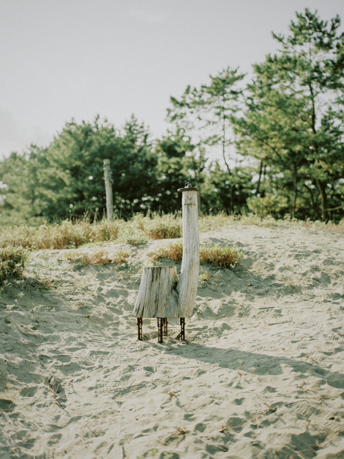 Autumn Sand Patterns Photos | Download Royalty-Free Images & High ...