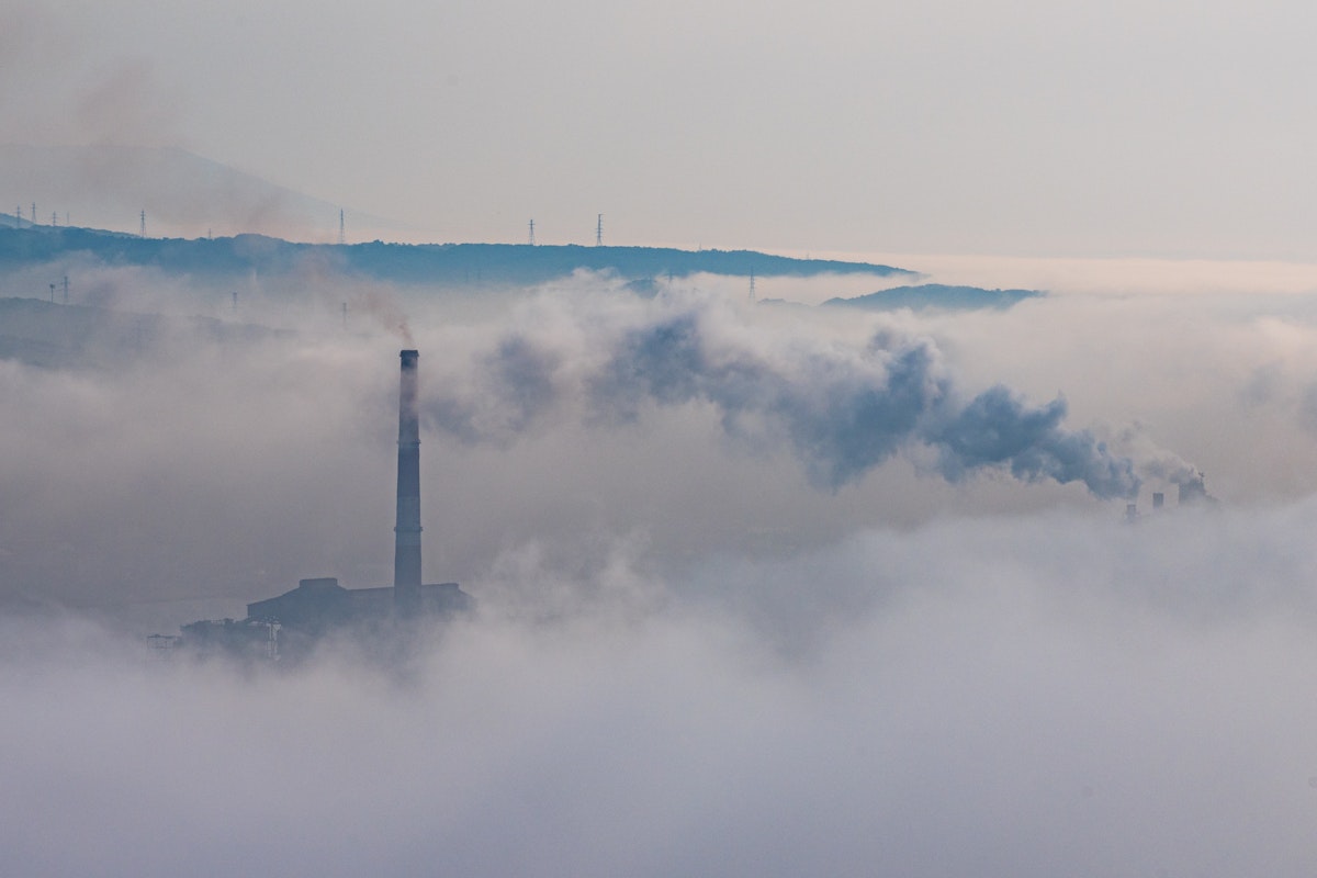 Mina Mizutani | cizucu