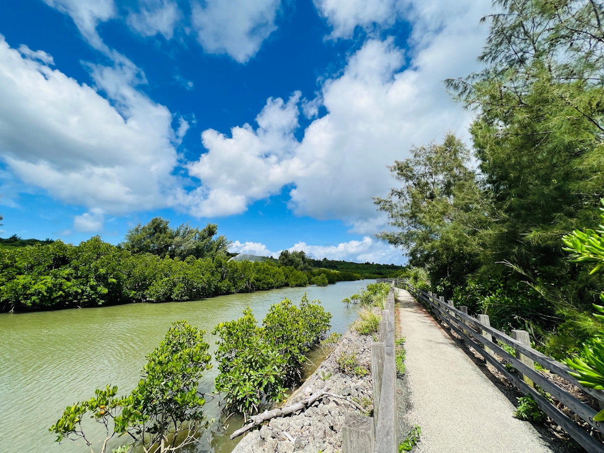 Scenic River Pathwayの写真 | ロイヤリティフリー & 高解像度画像を無料ダウンロード | cizucu