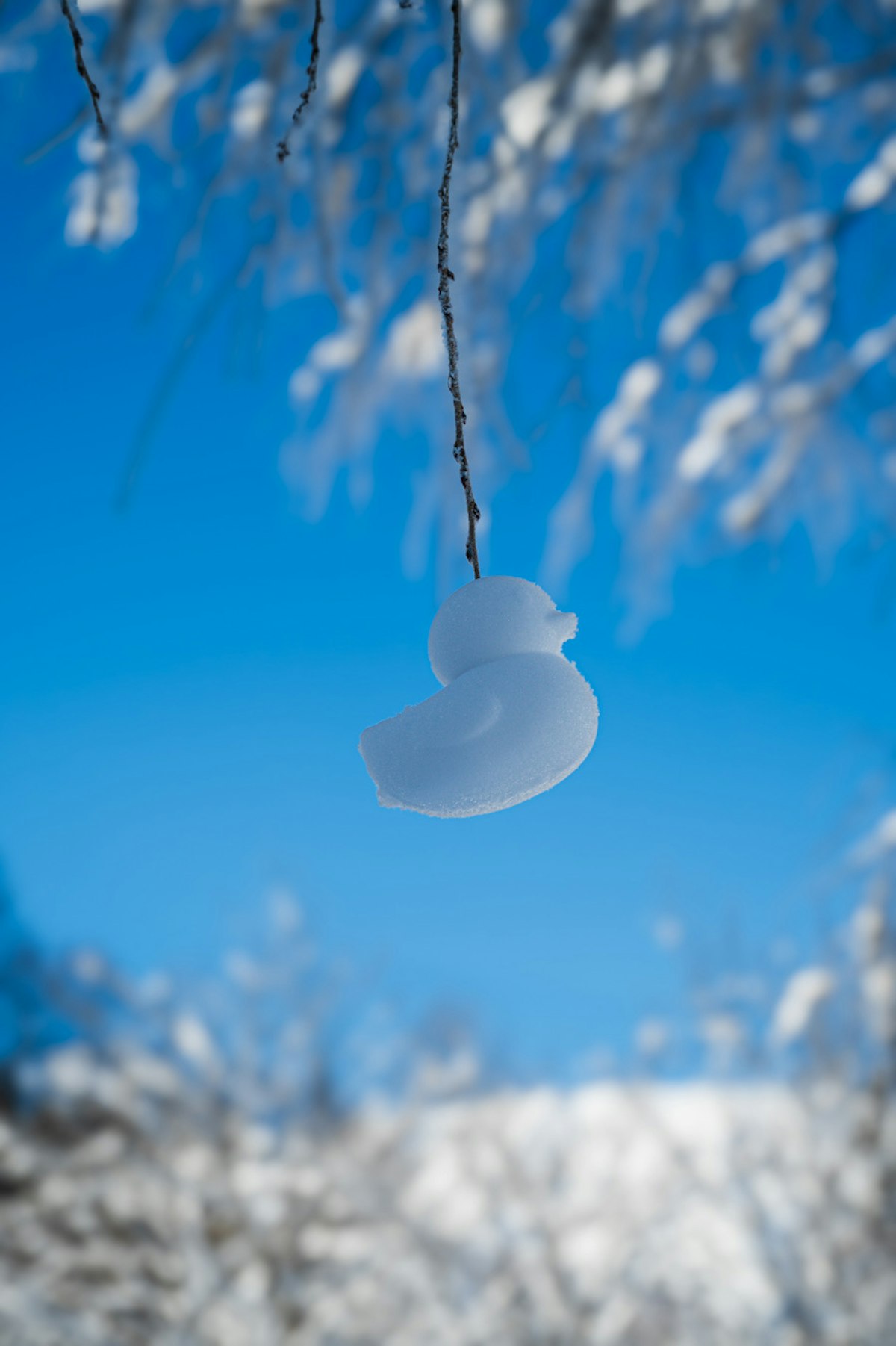空飛ぶ あひる隊長 #白馬 #雪景色 #青空 | sei ♫ | cizucu