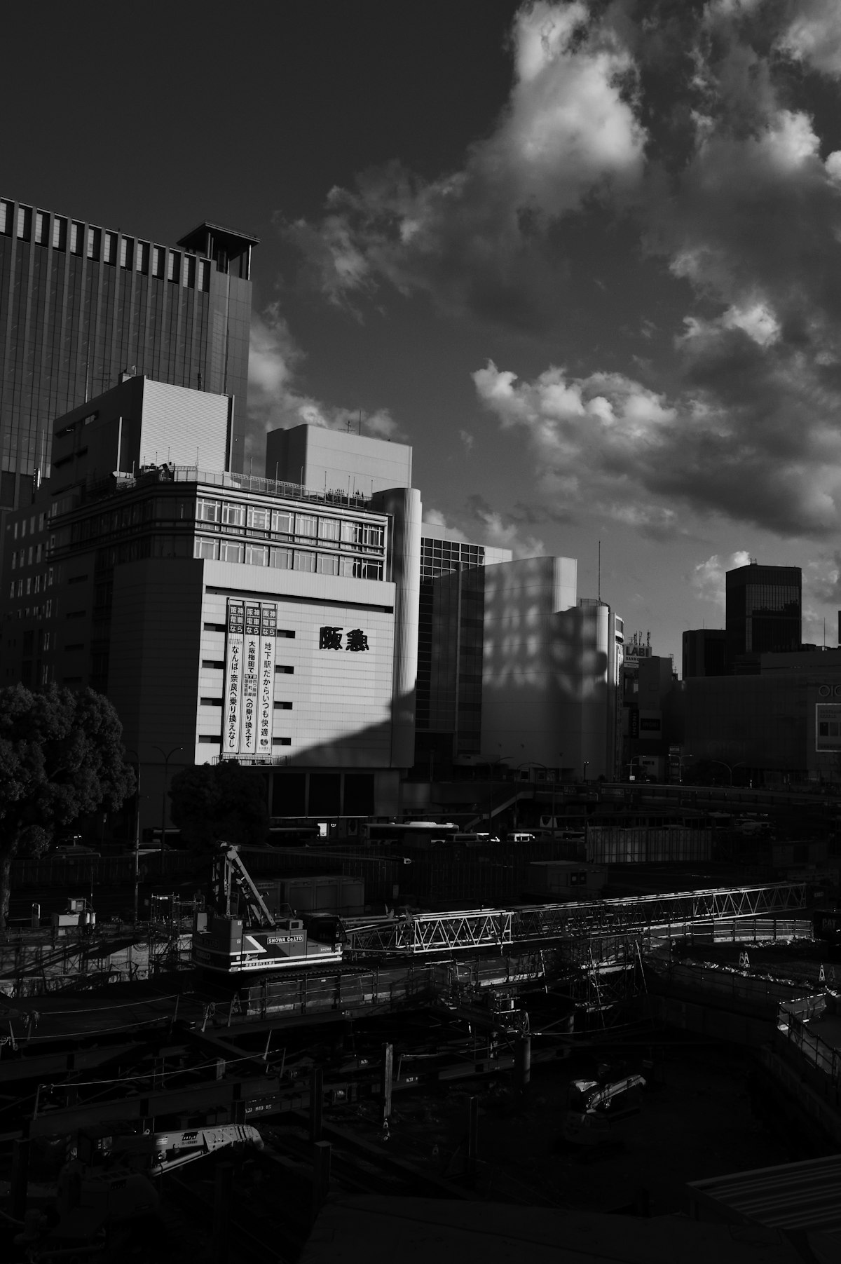 タイトル:光射 #ドキュメンタリー #ライフストーリー #ライフスタイル #documentary #lifestory #art #写真好き ...