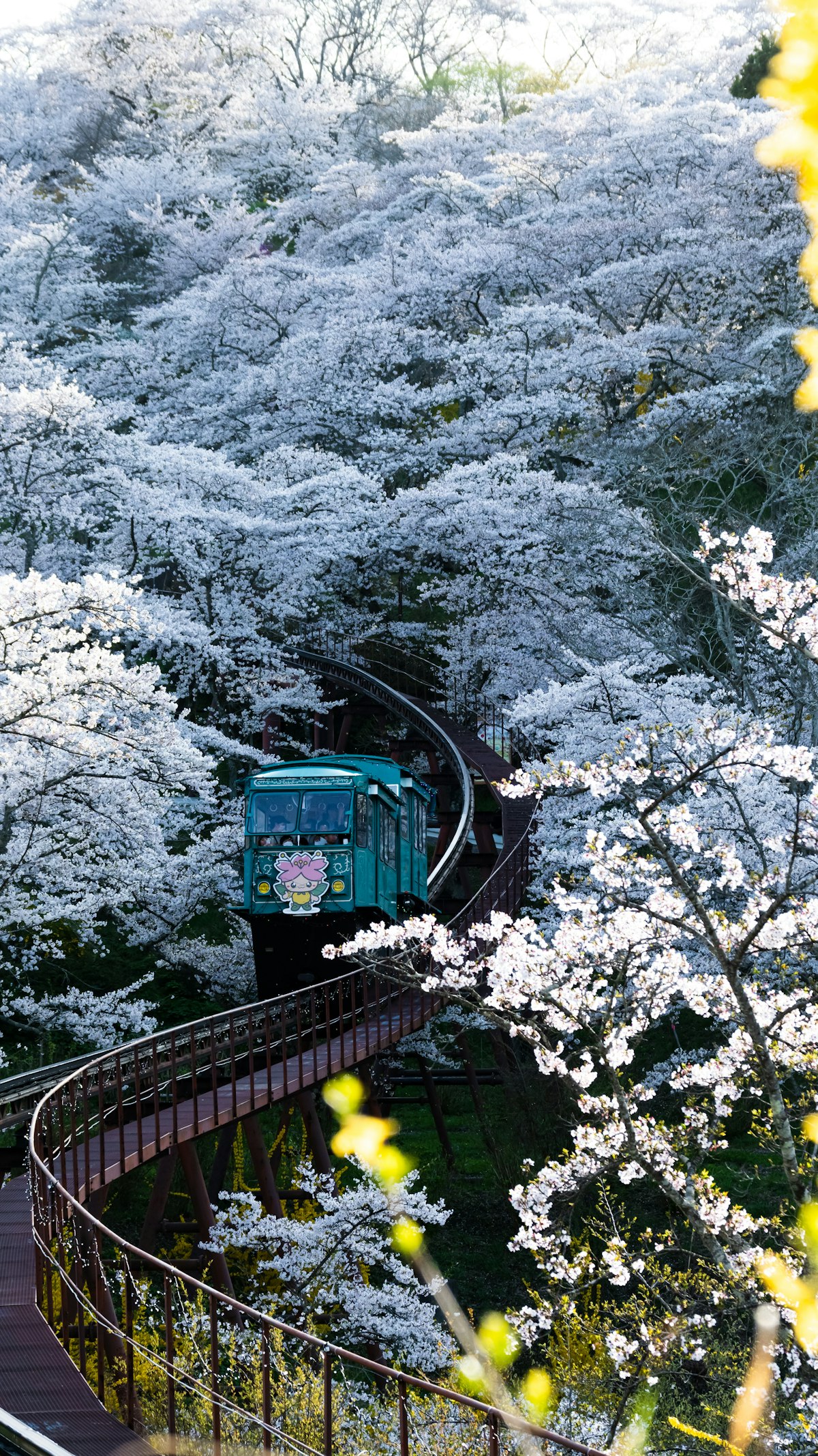 ทิวทัศน์ธรรมชาติ ฤดูใบไม้ผลิの写真 | ロイヤリティフリー & 高解像度画像を無料ダウンロード | cizucu