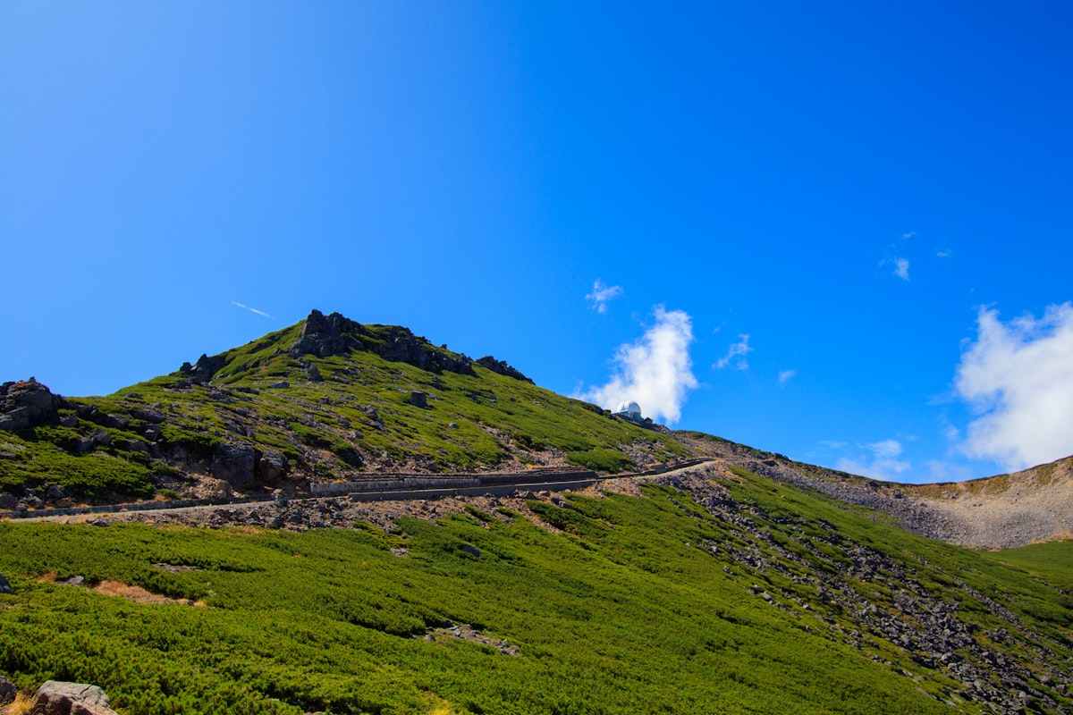 あおねこ | cizucu