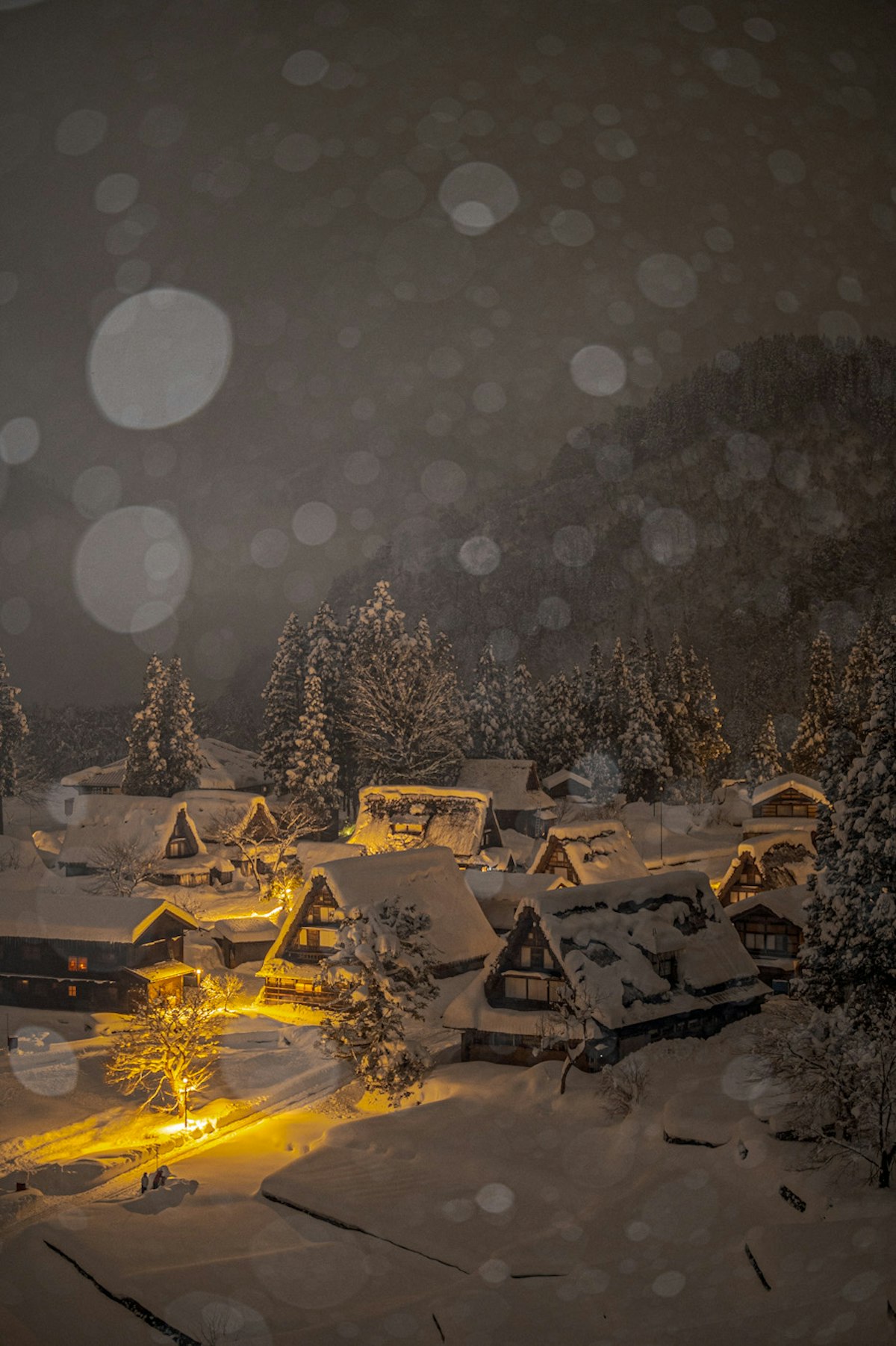 真っ暗な空から降る雪を... #雪 #相倉合掌造り集落 | sei ♫ | cizucu