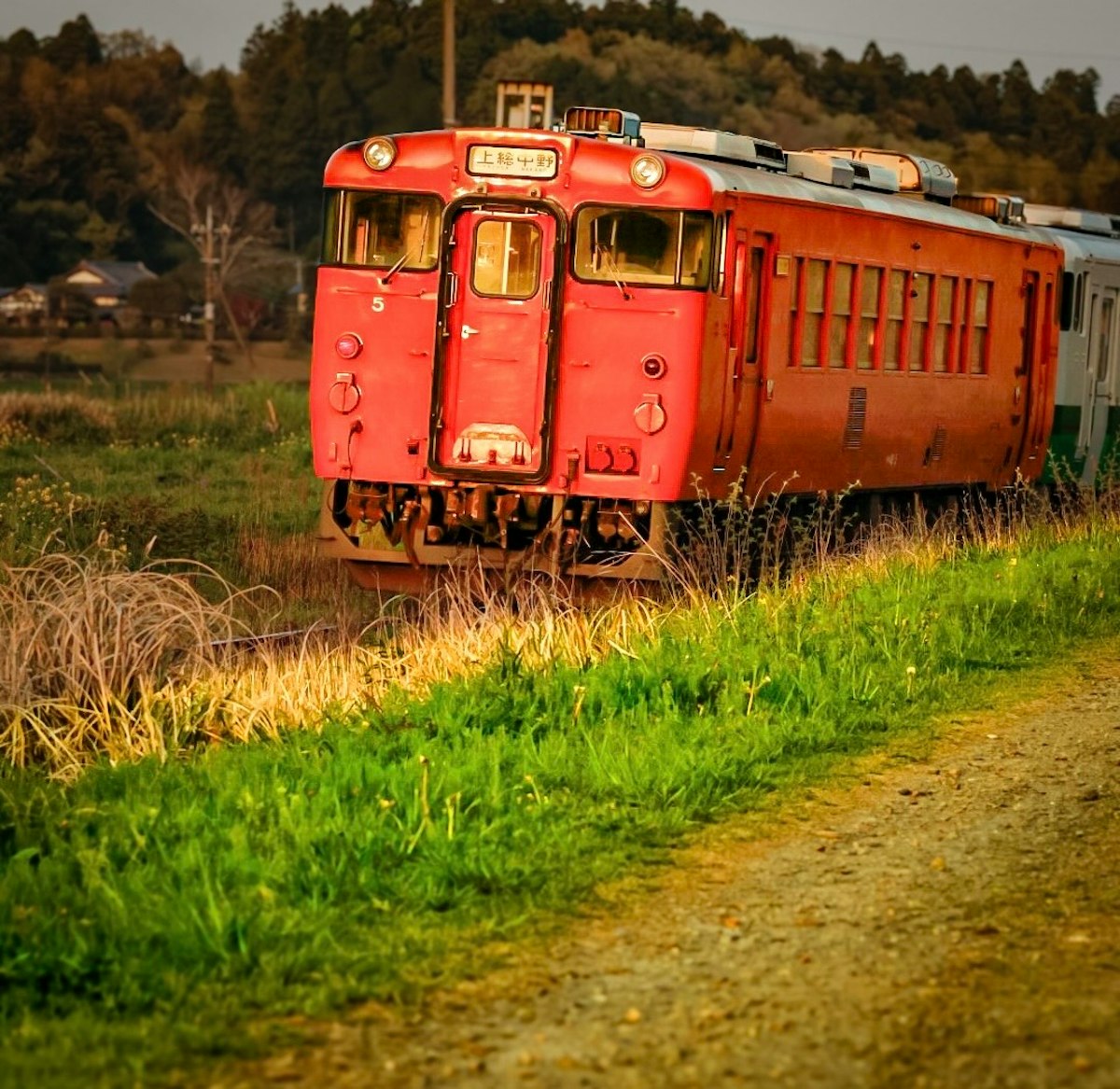 Green Grass Landscape Photos | Download Royalty-Free Images & High-Resolution Pictures | cizucu