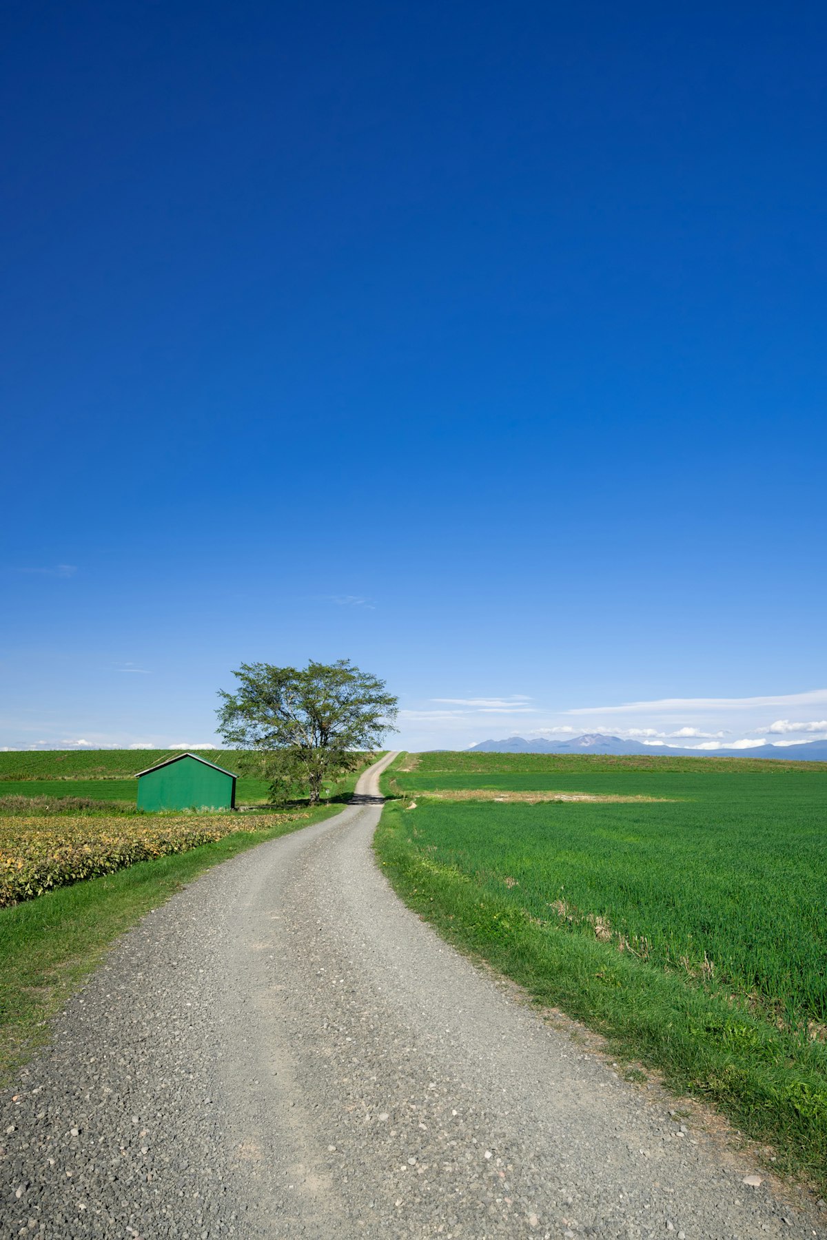 砂利道の写真 | cizucu