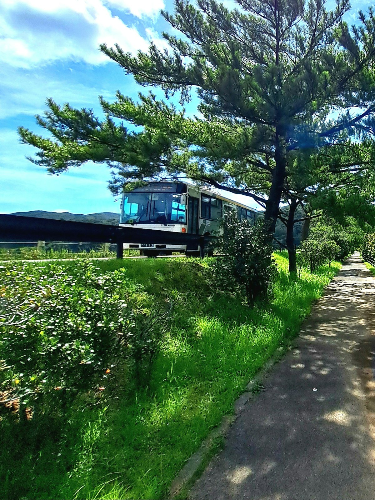 田舎道を走る路線バス | bikkya | cizucu