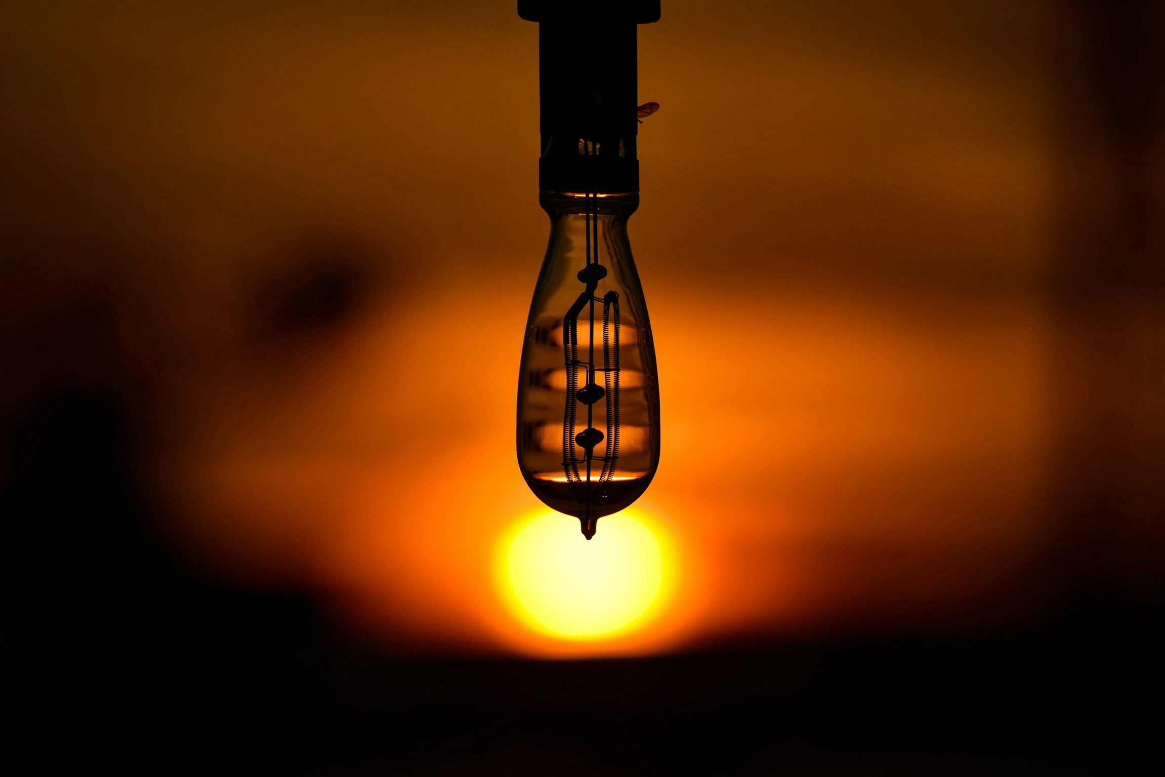 cizucu - Inspire Your (Photo) Creativity