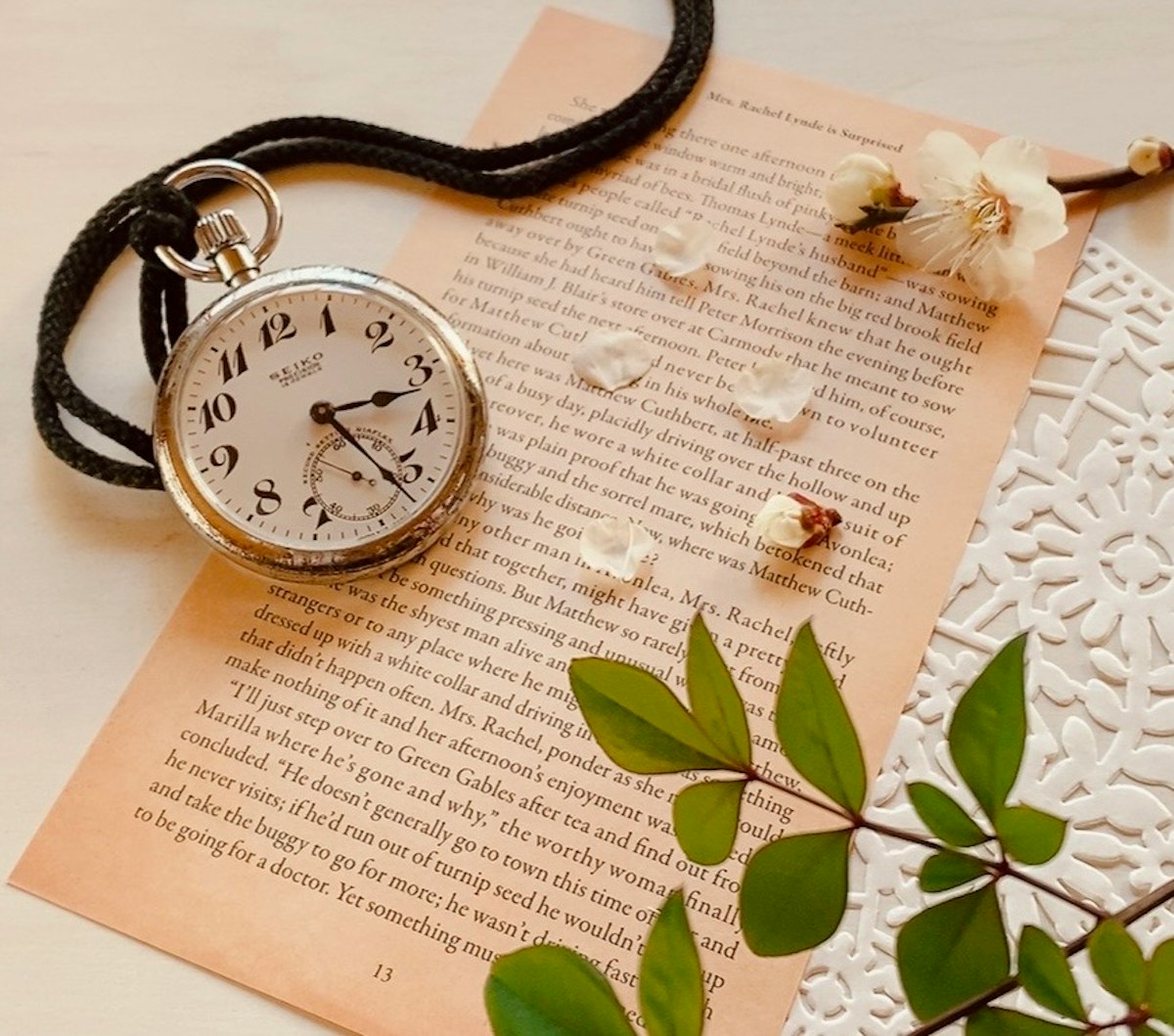 surprise Photos | cizucu