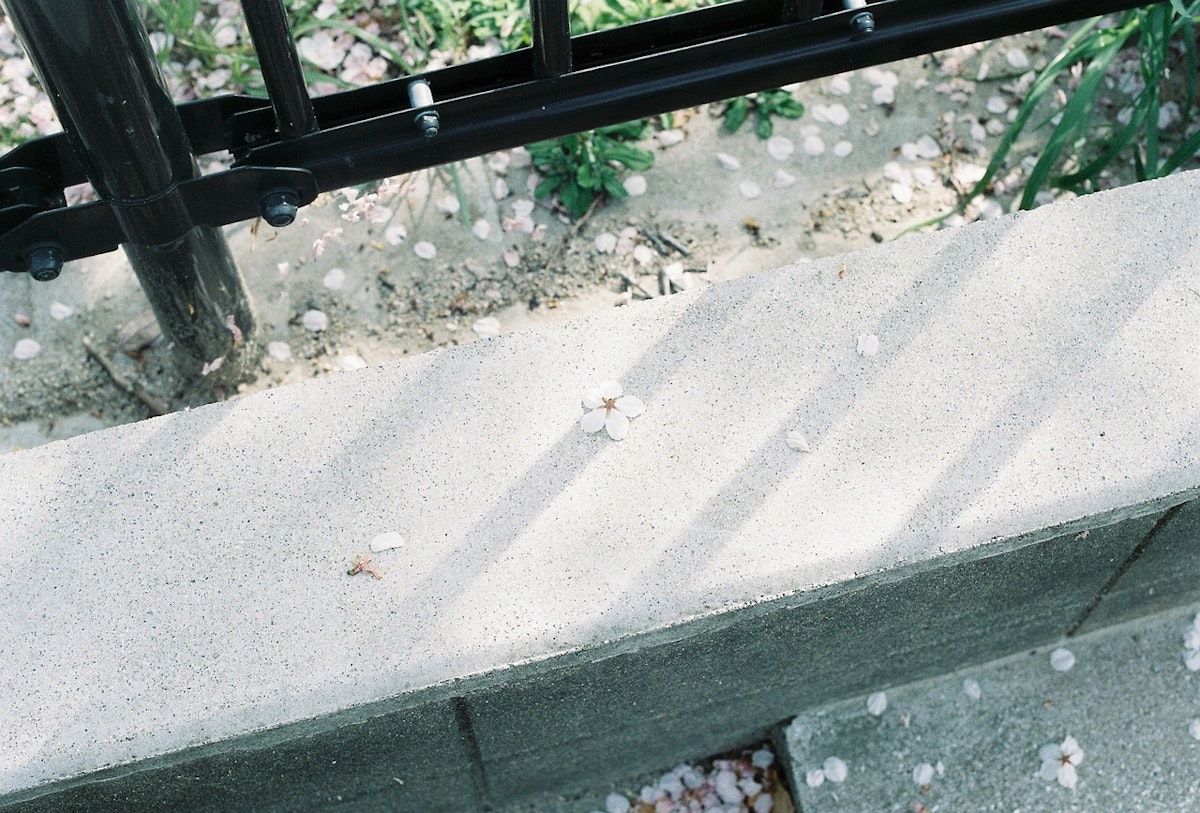 ขอบ Photos | cizucu