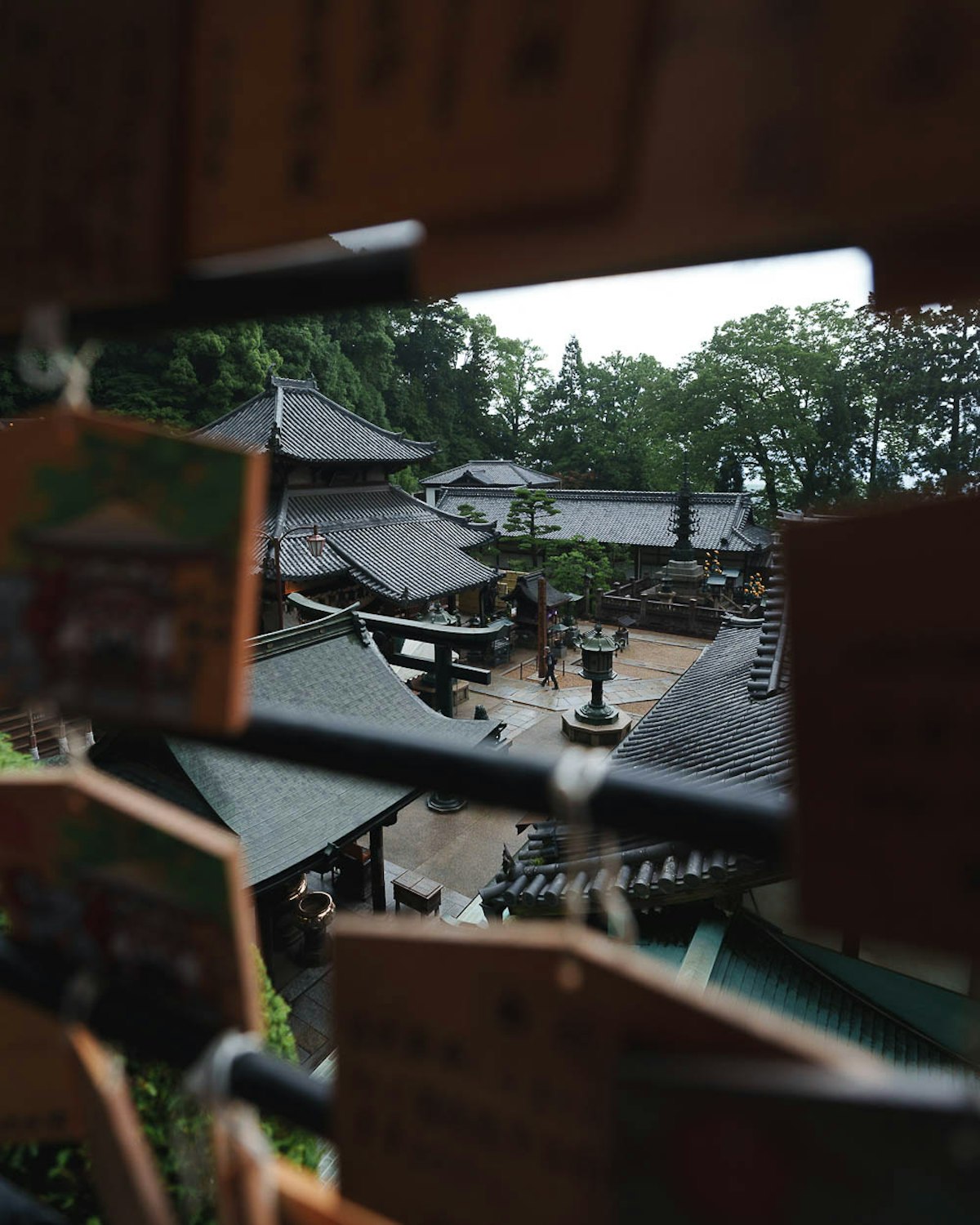 แผ่นの写真 | cizucu