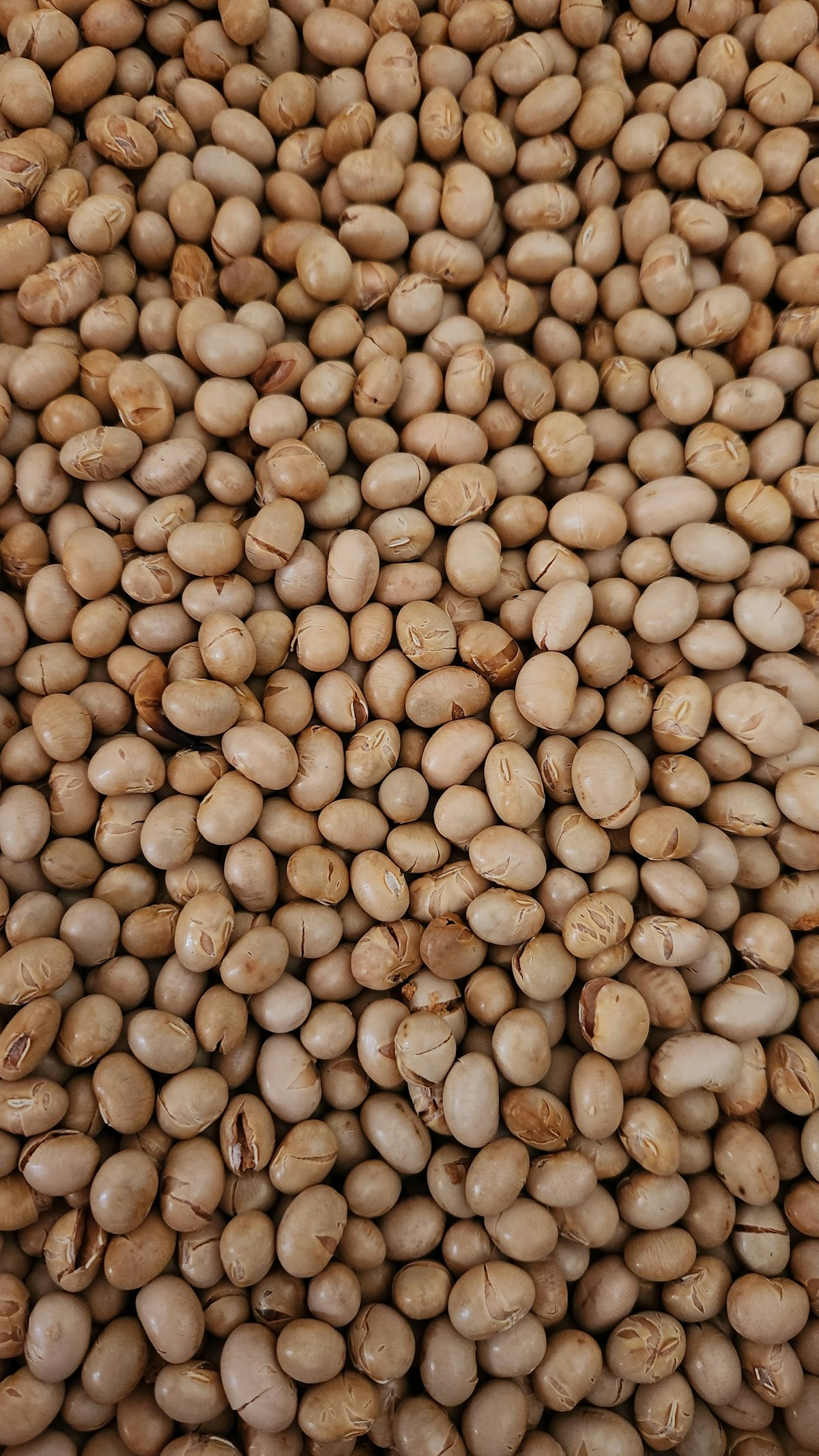 恐怖 Photos | cizucu