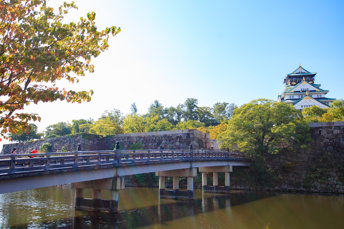 あおねこ | cizucu