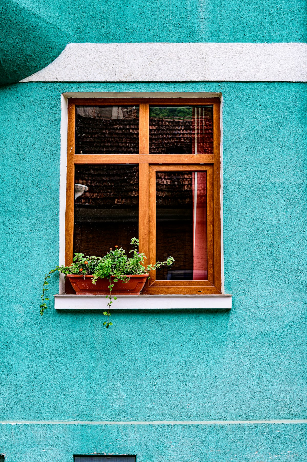 หน้าต่างไม้ Photos | Download Royalty-Free Images & High-Resolution Pictures | cizucu