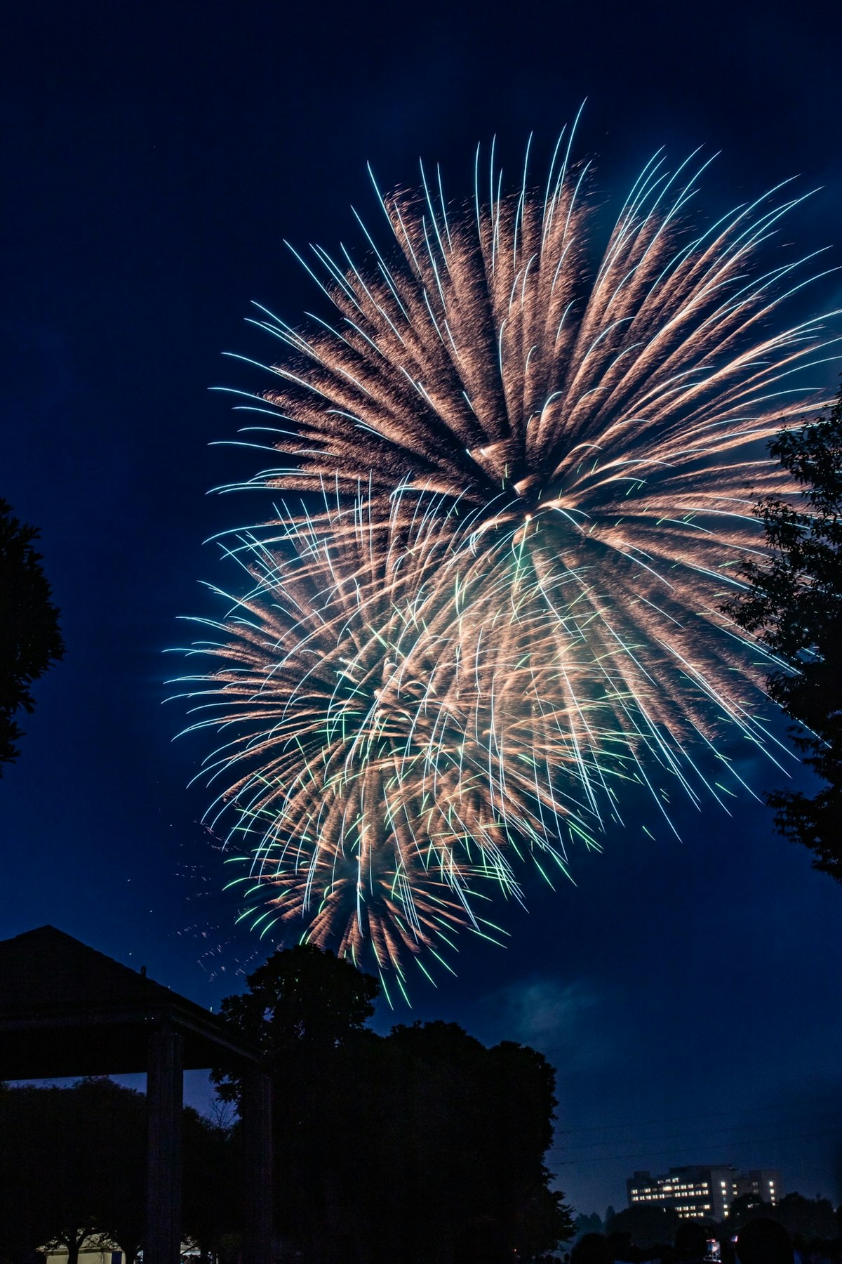 สเปกแทคูลาร์ Photos | Download Royalty-Free Images & High-Resolution Pictures | cizucu