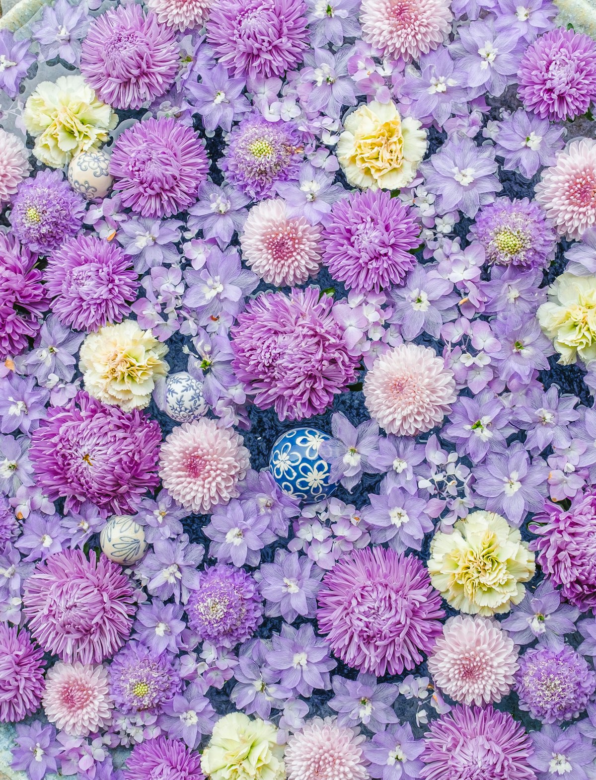 การจัดの写真 | ロイヤリティフリー & 高解像度画像を無料ダウンロード | cizucu