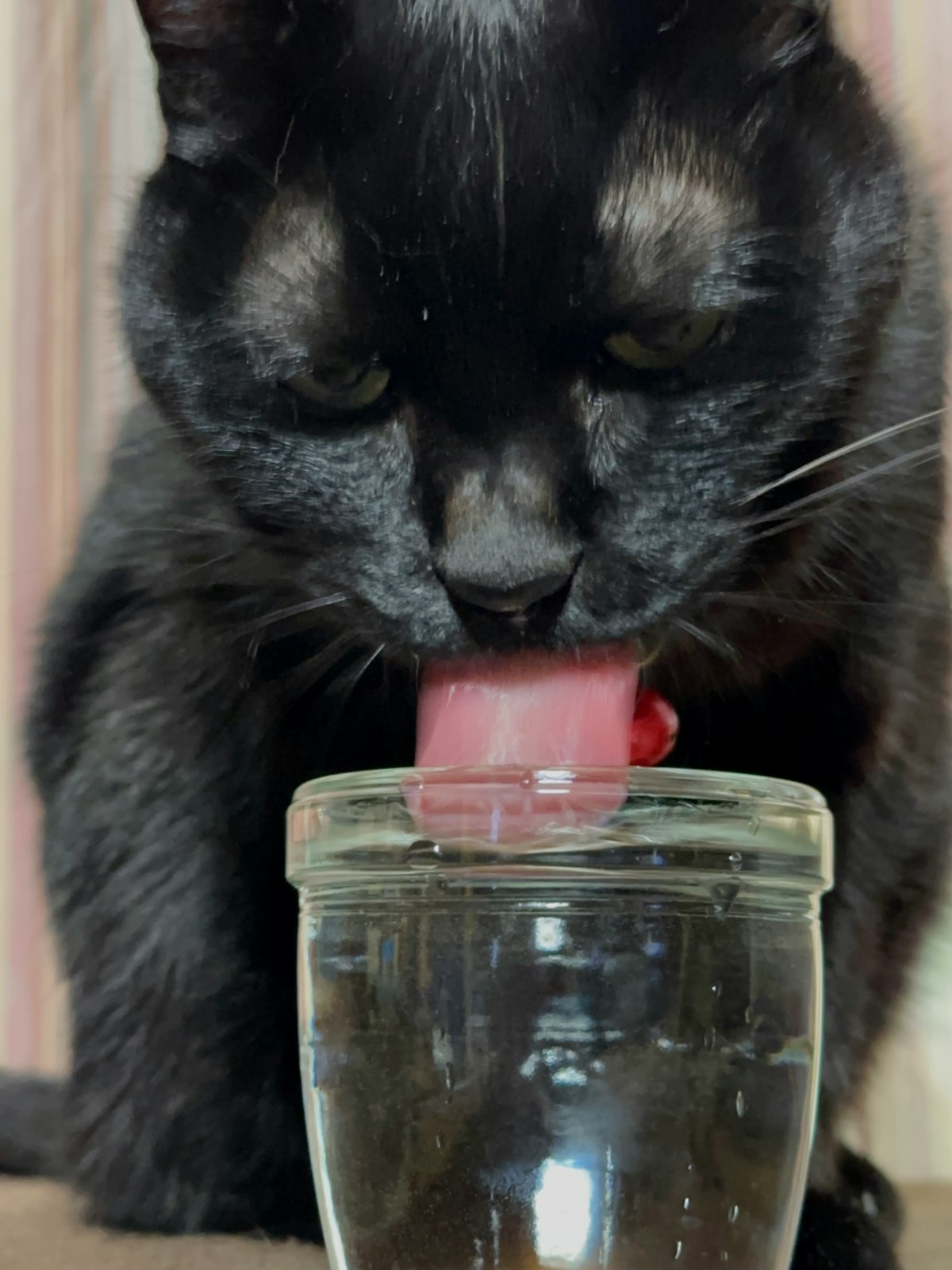 ขวดแก้ว Photos | Download Royalty-Free Images & High-Resolution Pictures | cizucu