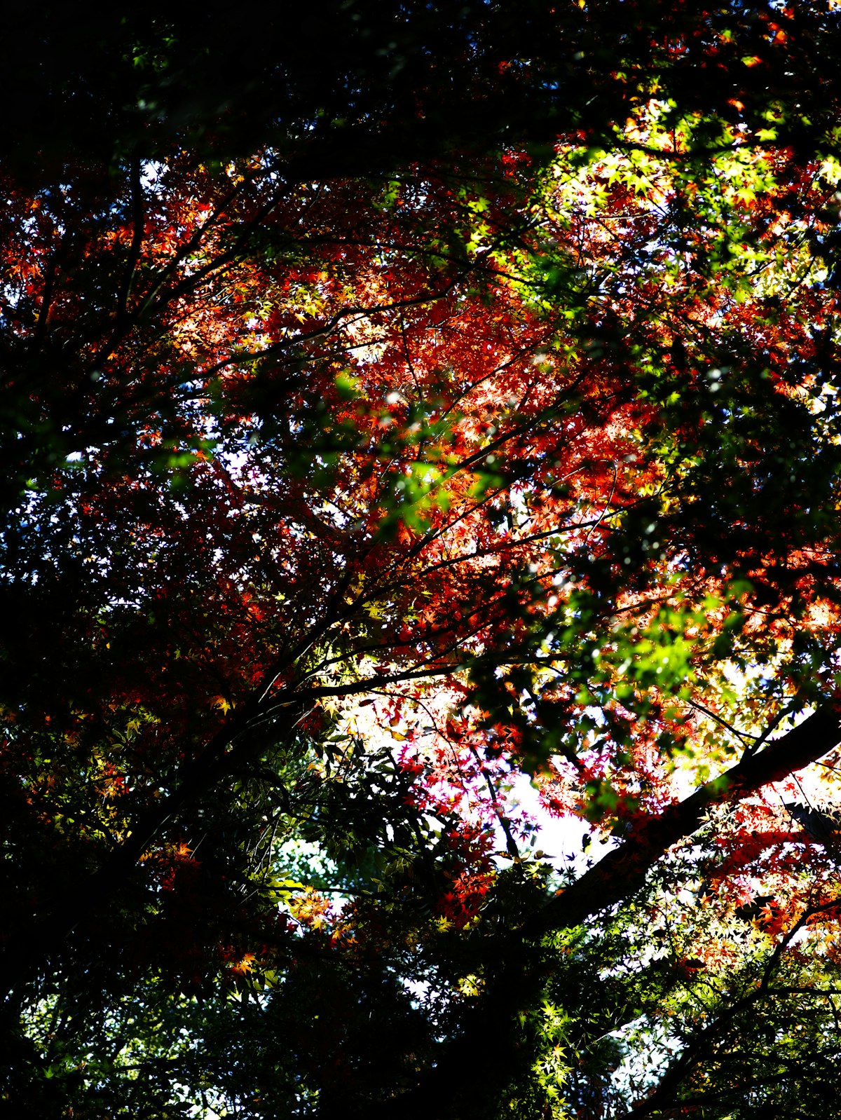 Symbolism In Photography Photos | Download Royalty-Free Images & High ...