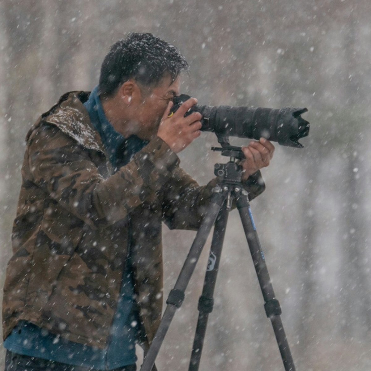 Tomoyuki Azuma | cizucu